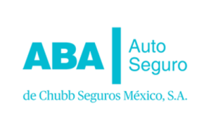 Cotiza tu Seguro de Auto 🚗 ¡Fácil, Rápido y al Mejor Precio!